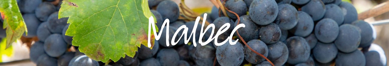 Malbec | Lækre rødvine med sjæl og passion » Skarpe priser